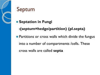 GENERAL CHARACTERS OF FUNGI.pptx