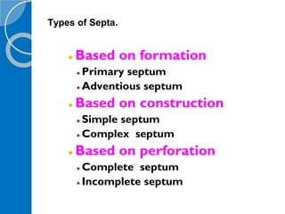 GENERAL CHARACTERS OF FUNGI.pptx