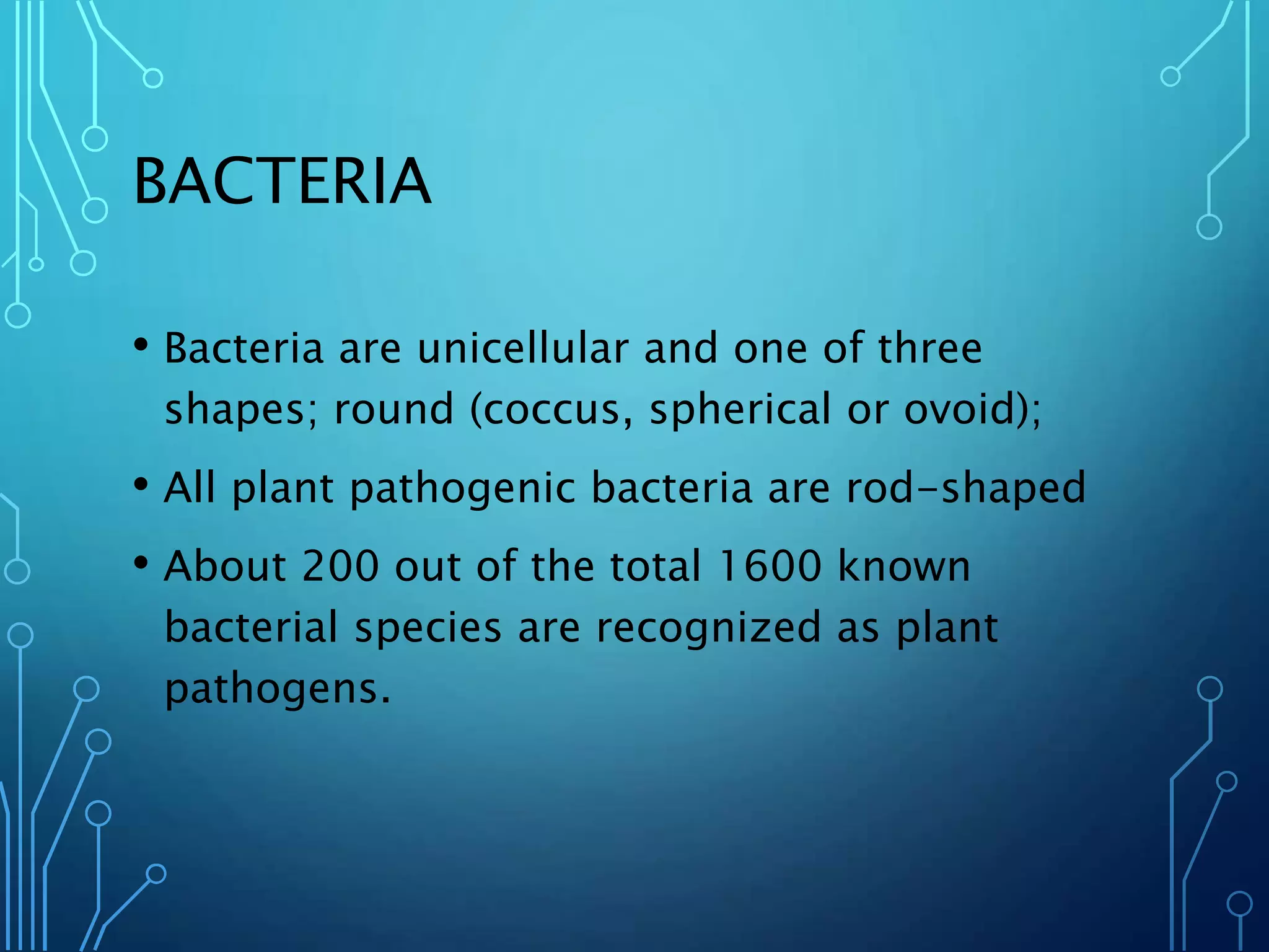PAT 201 -Bacteria1 ppt | PPT