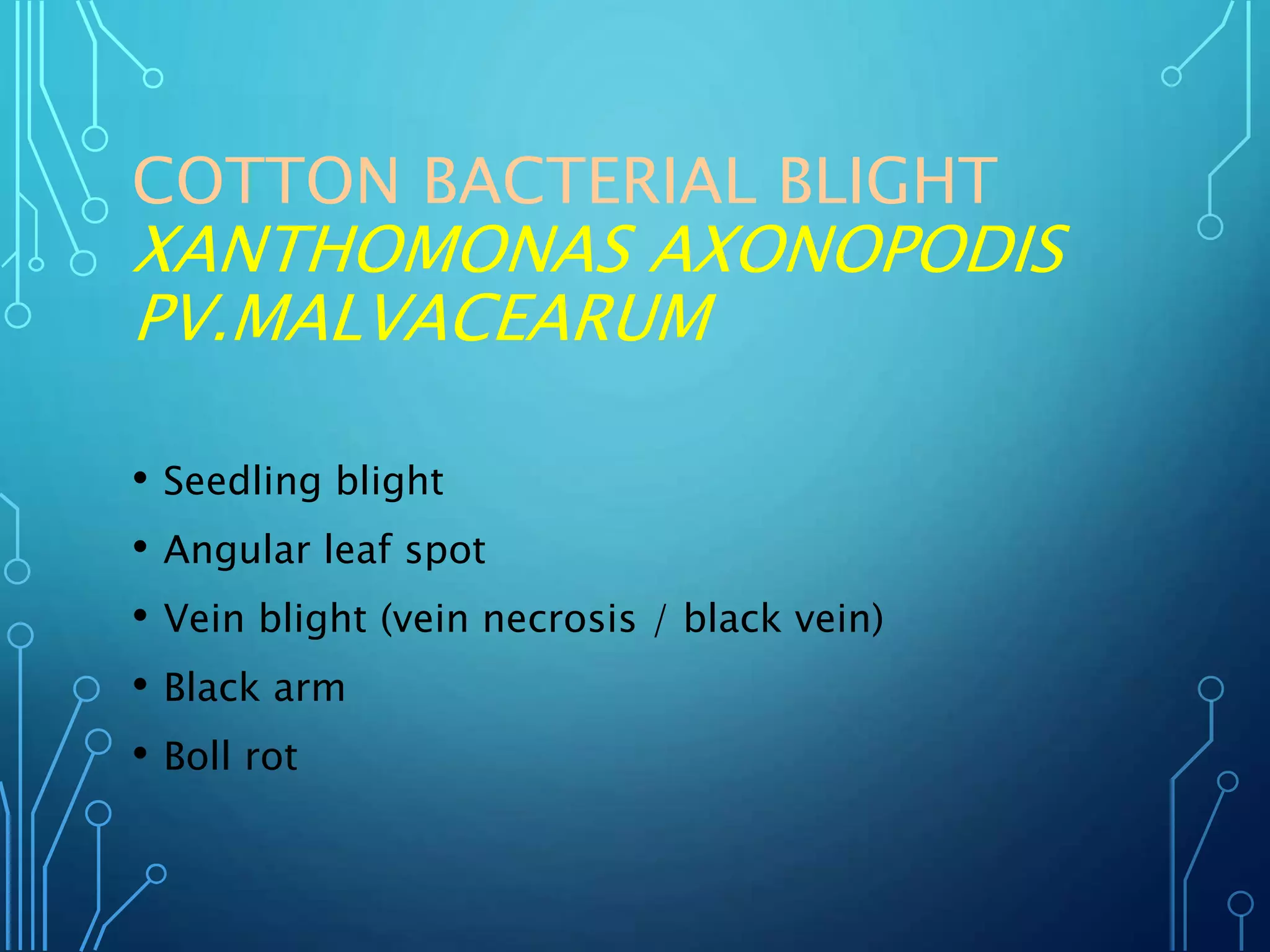 PAT 201 -Bacteria1 ppt | PPT