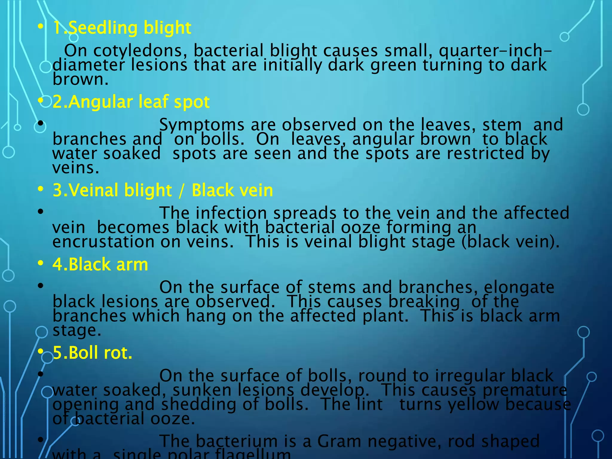 PAT 201 -Bacteria1 ppt | PPT