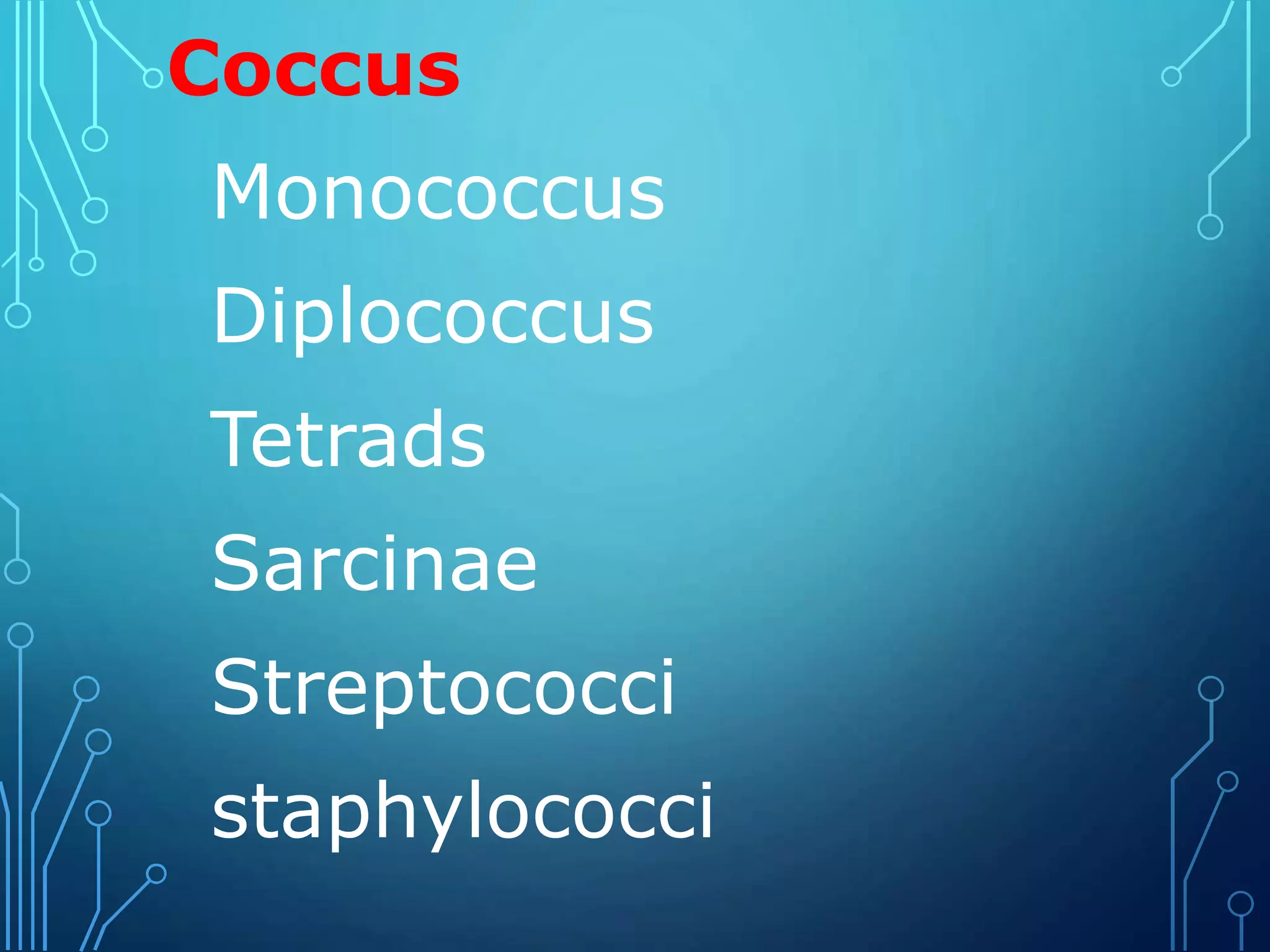 PAT 201 -Bacteria1 ppt | PPT