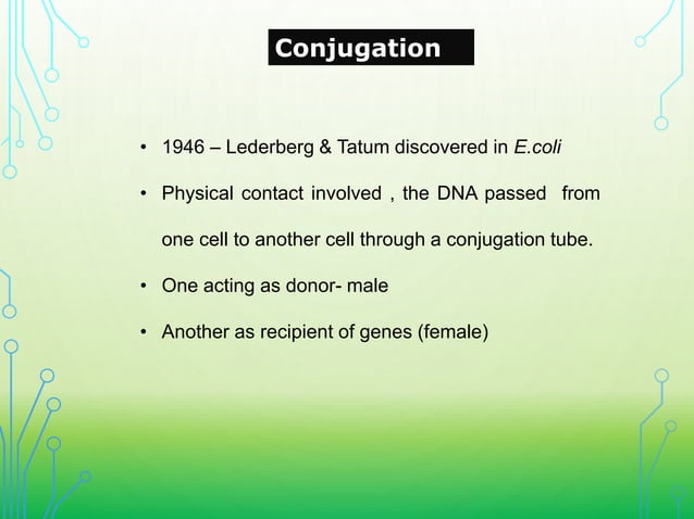 PAT 201 -Bacteria1 ppt | PPT