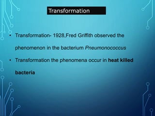 PAT 201 -Bacteria1 ppt | PPT