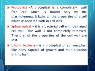 PAT 201 -Bacteria1 ppt | PPT