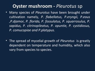 Mushrooms | PPT