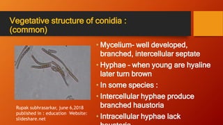 PAT 201 Fundamentals of plant pathology | PPT
