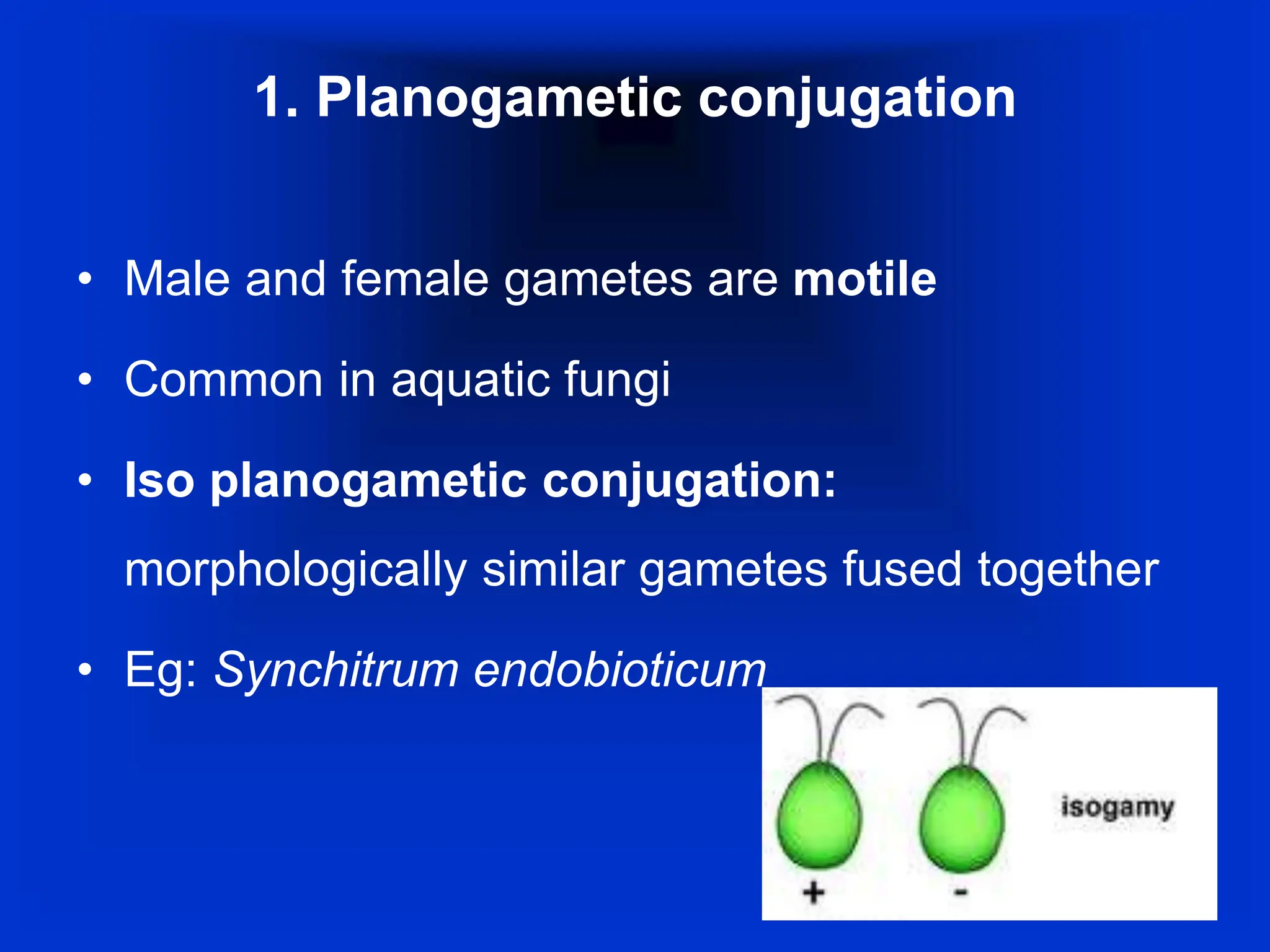 PAT 212 L 4-1.ppt pathology pests and diseases | PPT