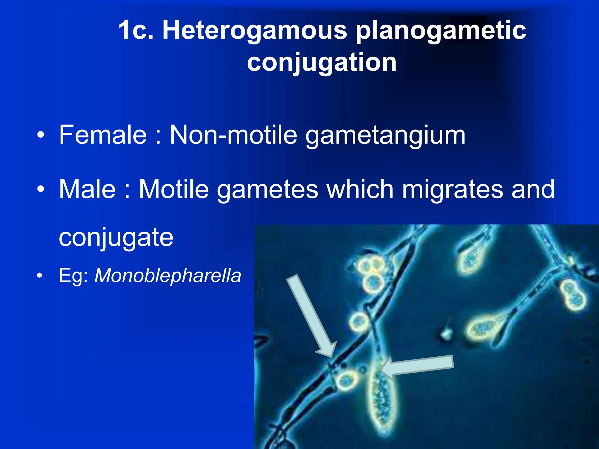 PAT 212 L 4-1.ppt pathology pests and diseases | PPT