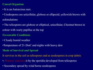 Palest of pulses gfjdjskbshekskhskwjwbjesksj | PPT