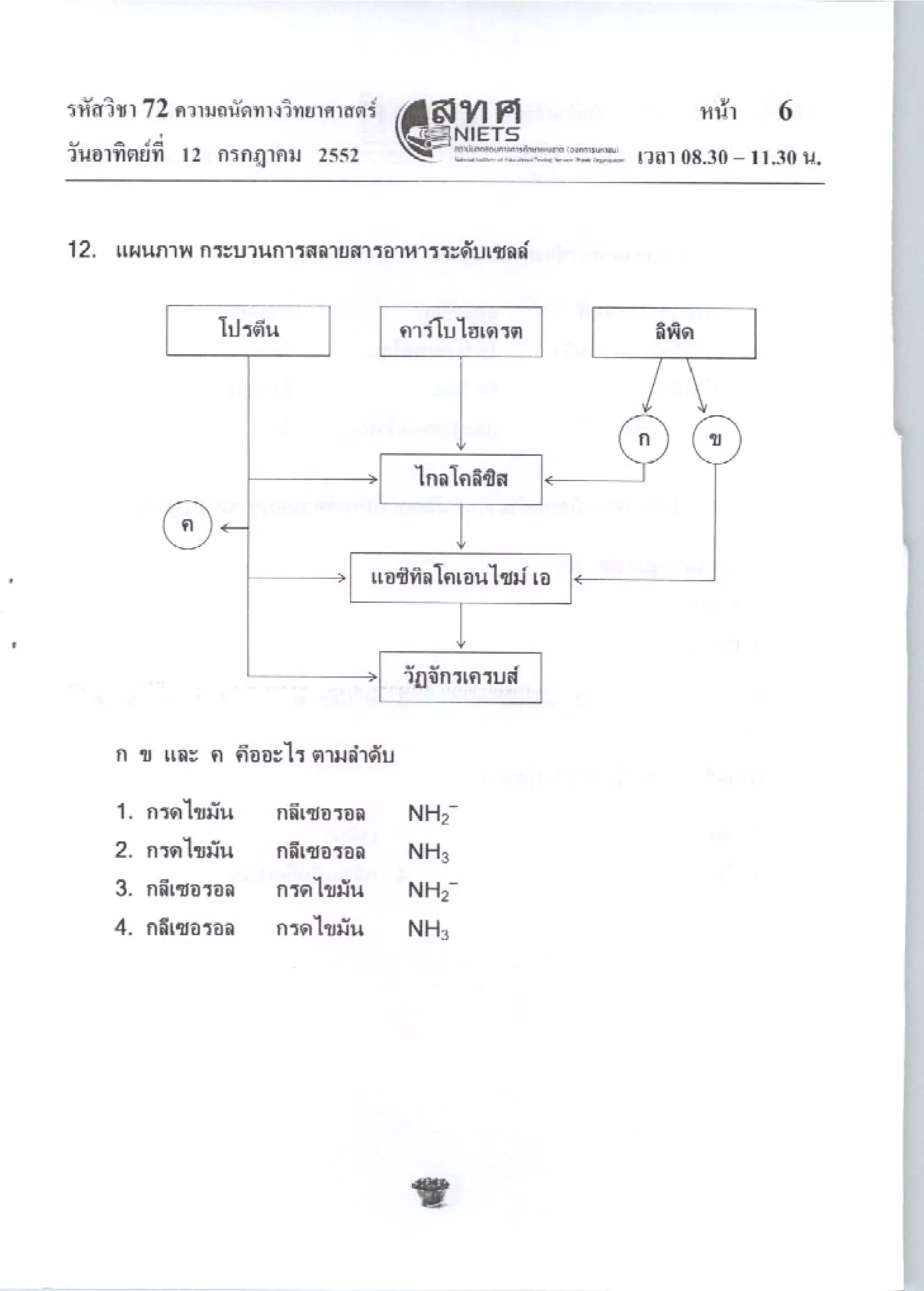 Pat2 กรกฎาคม 2552 | PDF