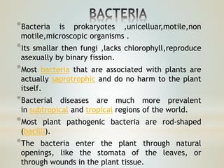 Casues of plant diseases | PPTX