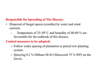 pat3022016037015-190717074654.pptxkkkkkkkk | PPT