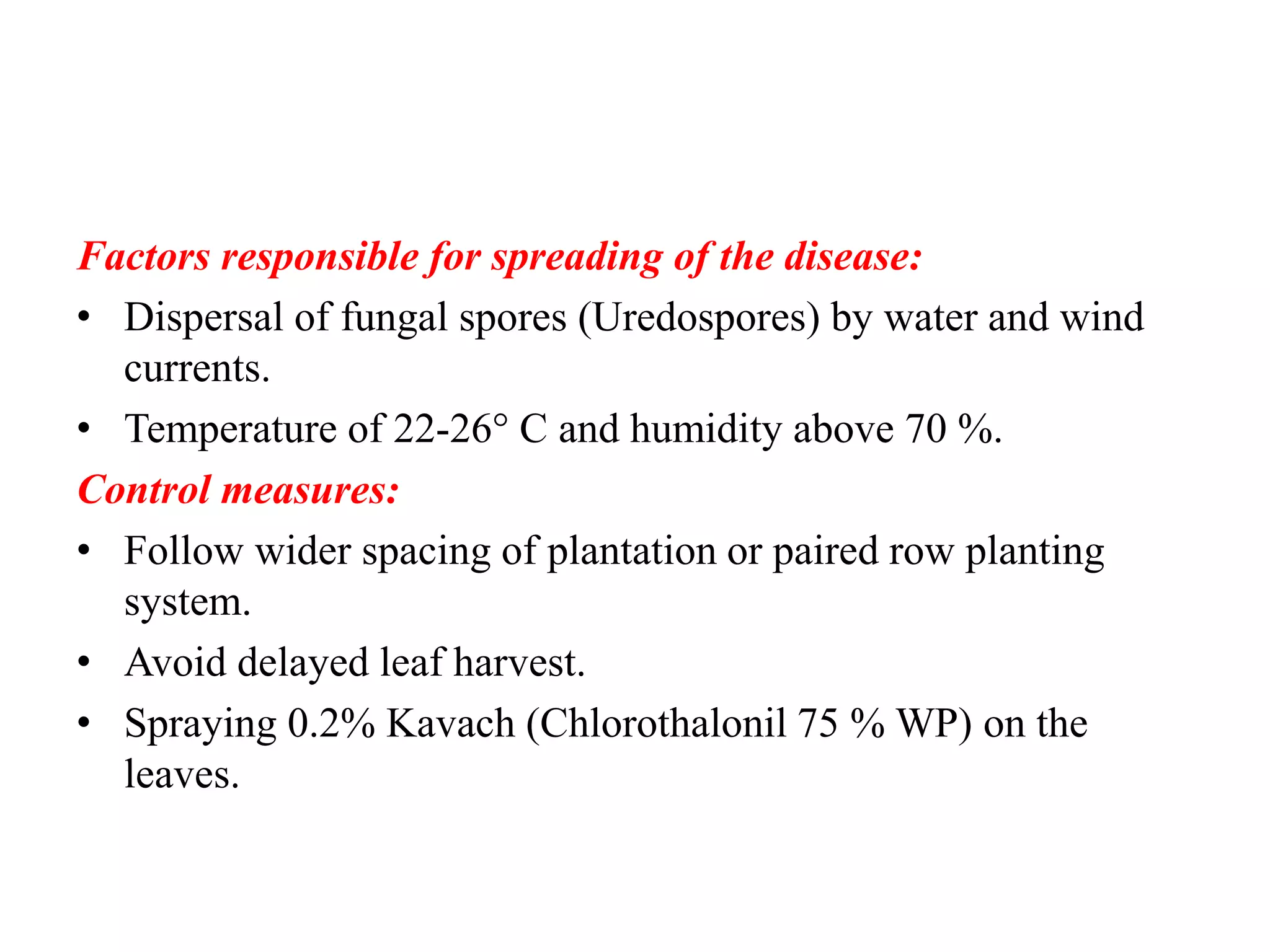 DISEASE OF MULBERRY | PPTX