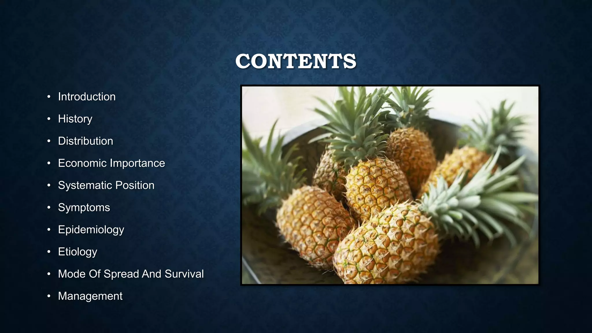 HEART ROT OF PINEAPPLE | PPTX