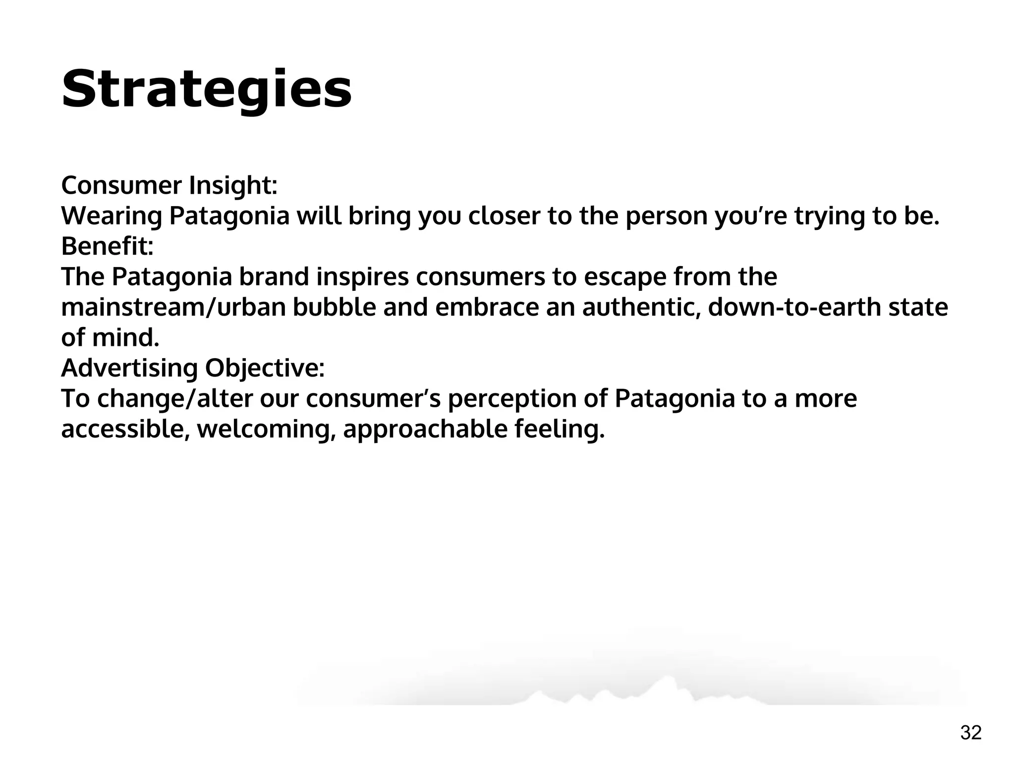 Patagonia Ad Campaign | PPTX