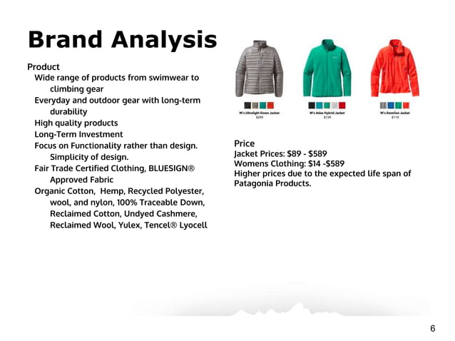 Patagonia Ad Campaign | PPTX