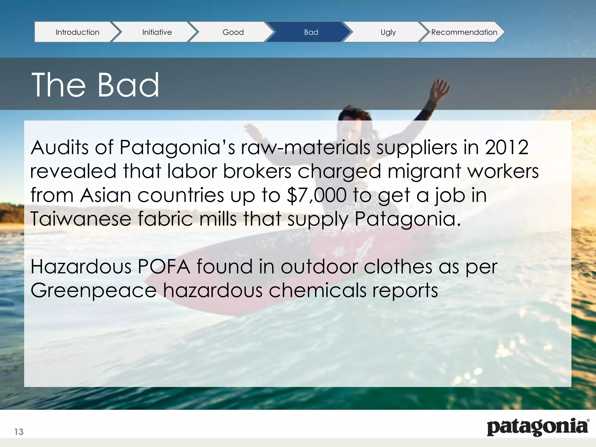 Patagonia - Corporate Social Responsibility | PDF