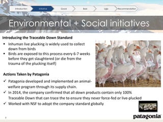Patagonia - Corporate Social Responsibility | PDF