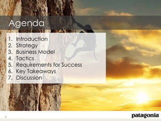 Environmental Differentiation Strategy of Patagonia | PPTX