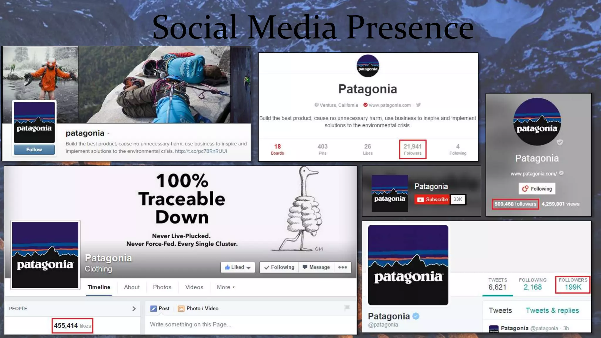 Patagonia Digital Strategy Final Presentation | PPTX