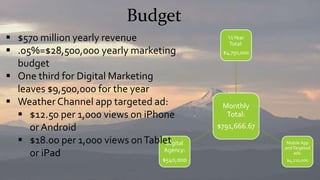 Patagonia Digital Strategy Final Presentation | PPTX | Advertising Industry | Industries
