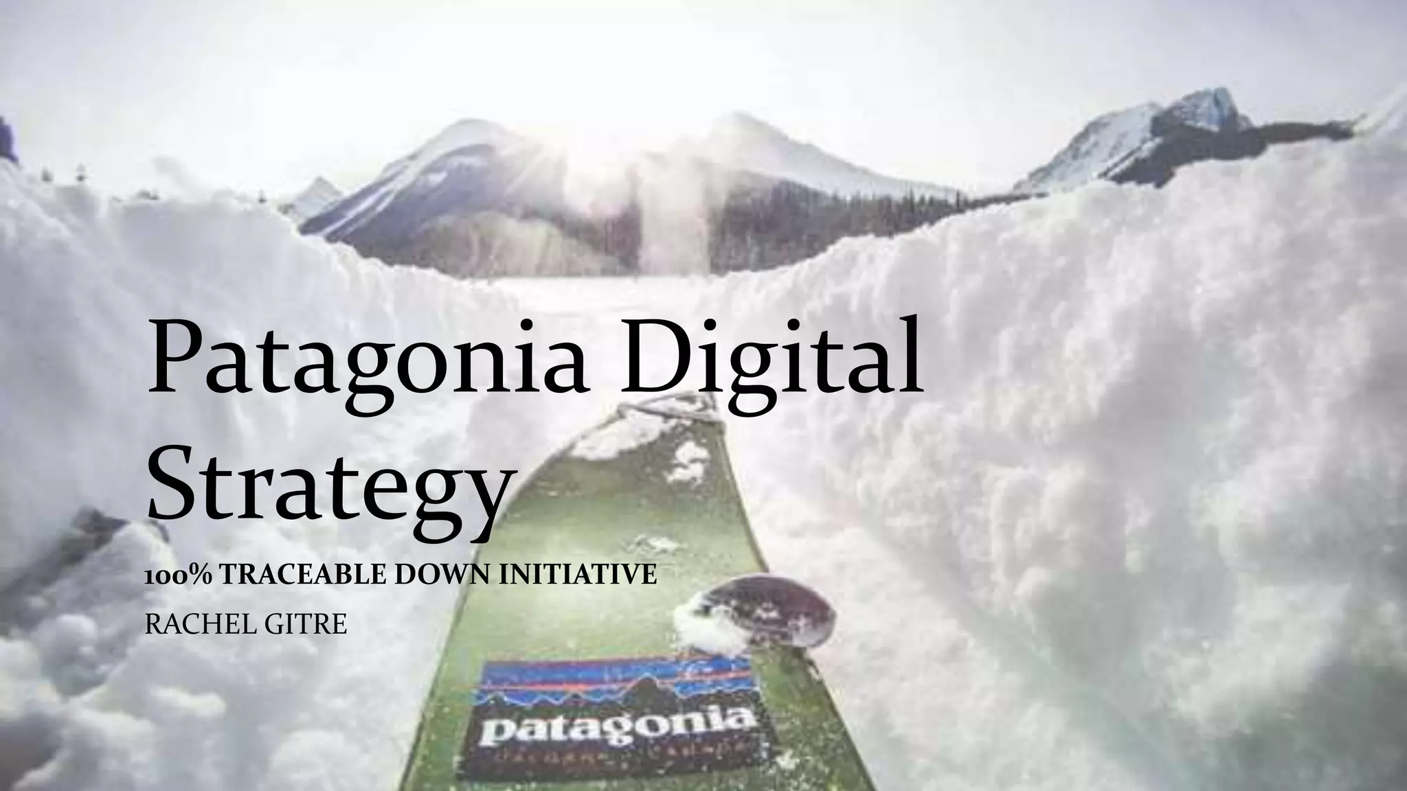 Patagonia Digital Strategy Final Presentation | PPTX
