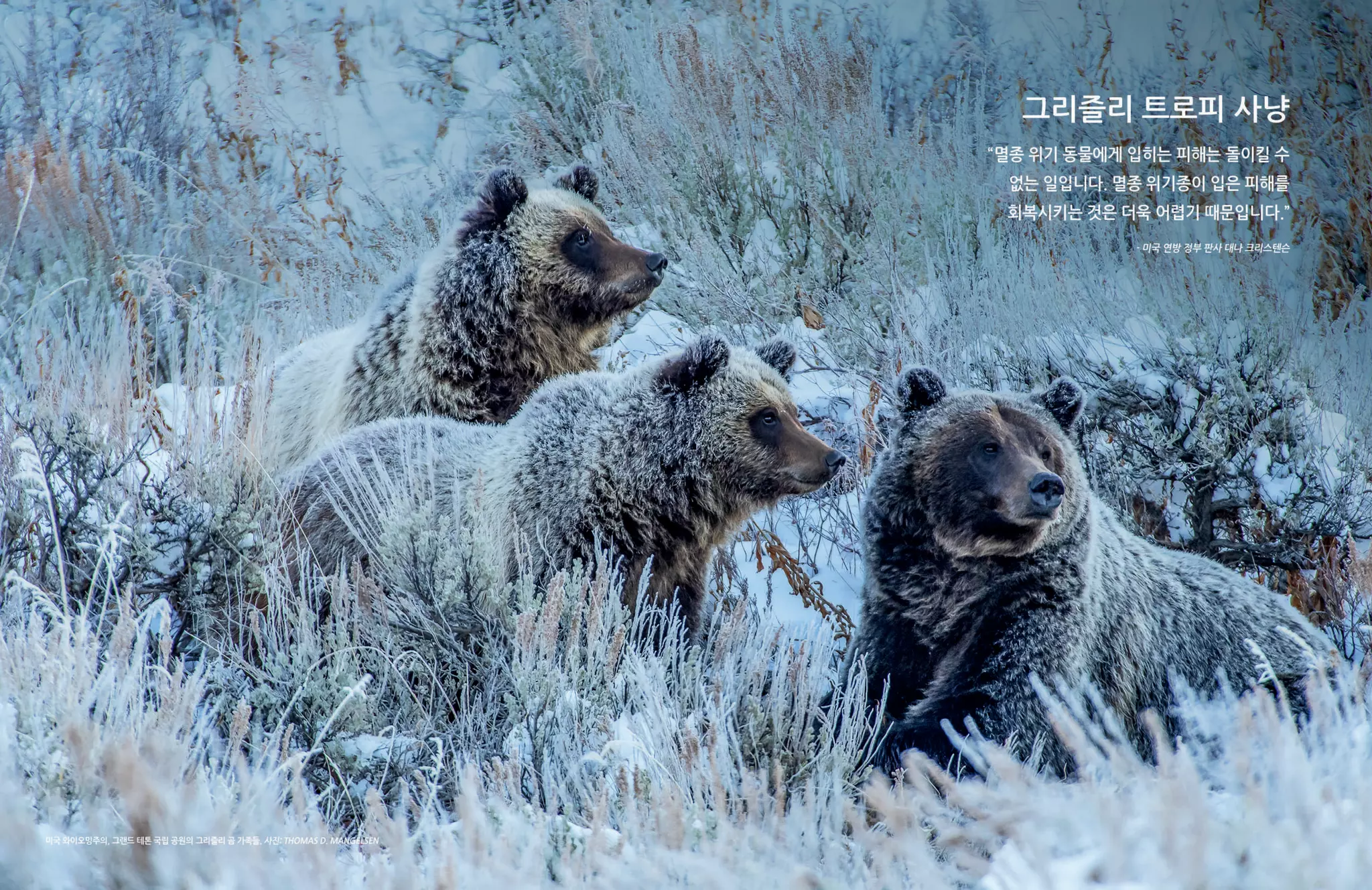 Patagonia Environmental + Social Initiatives 2018 | PDF