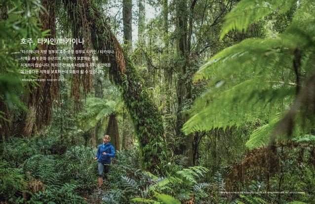 Patagonia Environmental + Social Initiatives 2018 | PDF