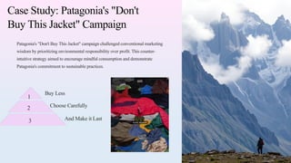 Patagonia Final-V2-and how its sustainable.pptx