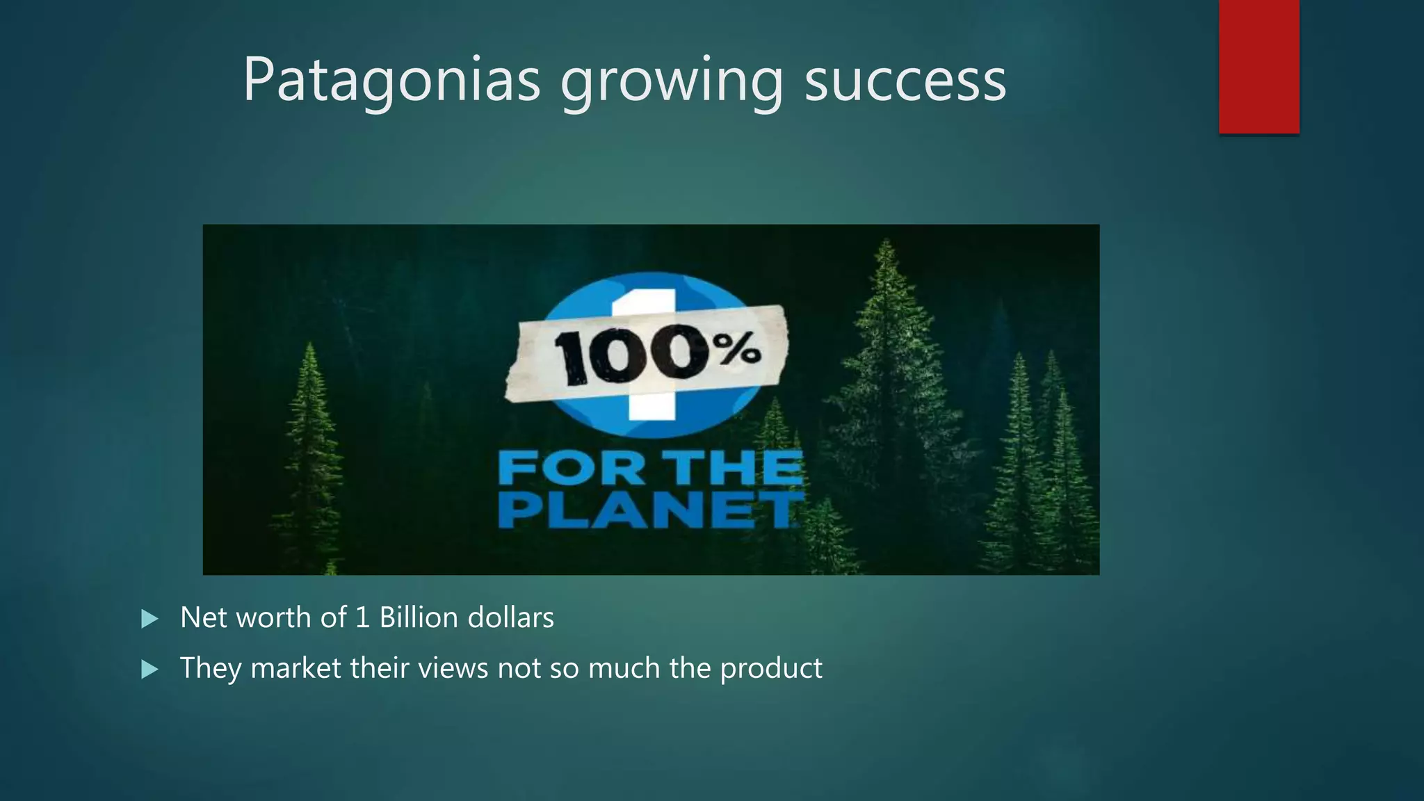 Patagonia final presentation | PPT