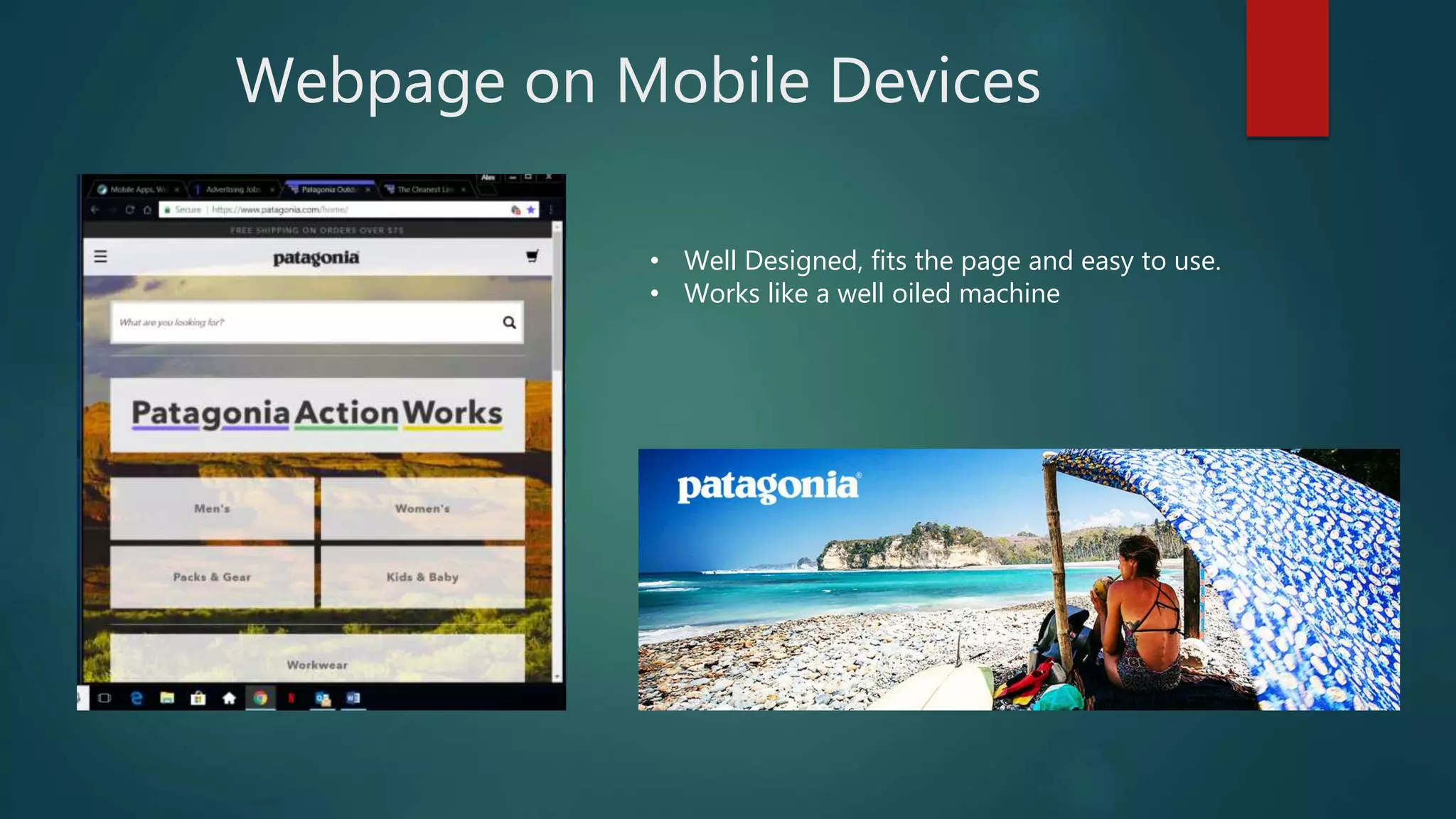 Patagonia final presentation | PPT
