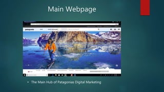 Patagonia final presentation | PPTX