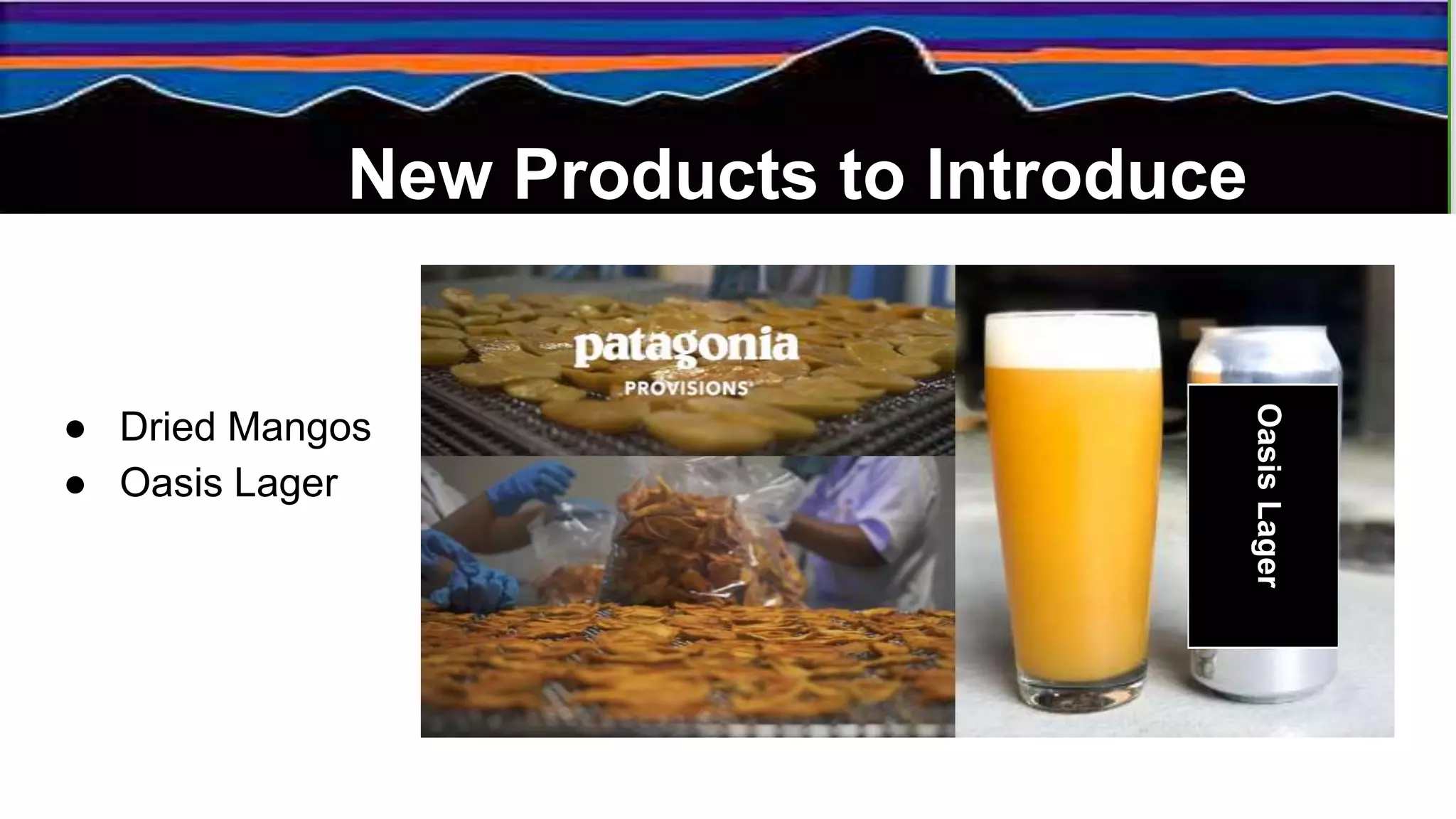 Patagonia Provisions presentation | PPTX