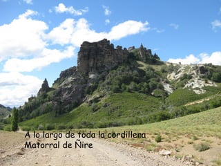 Patagonia y sus eco-regiones | PPT