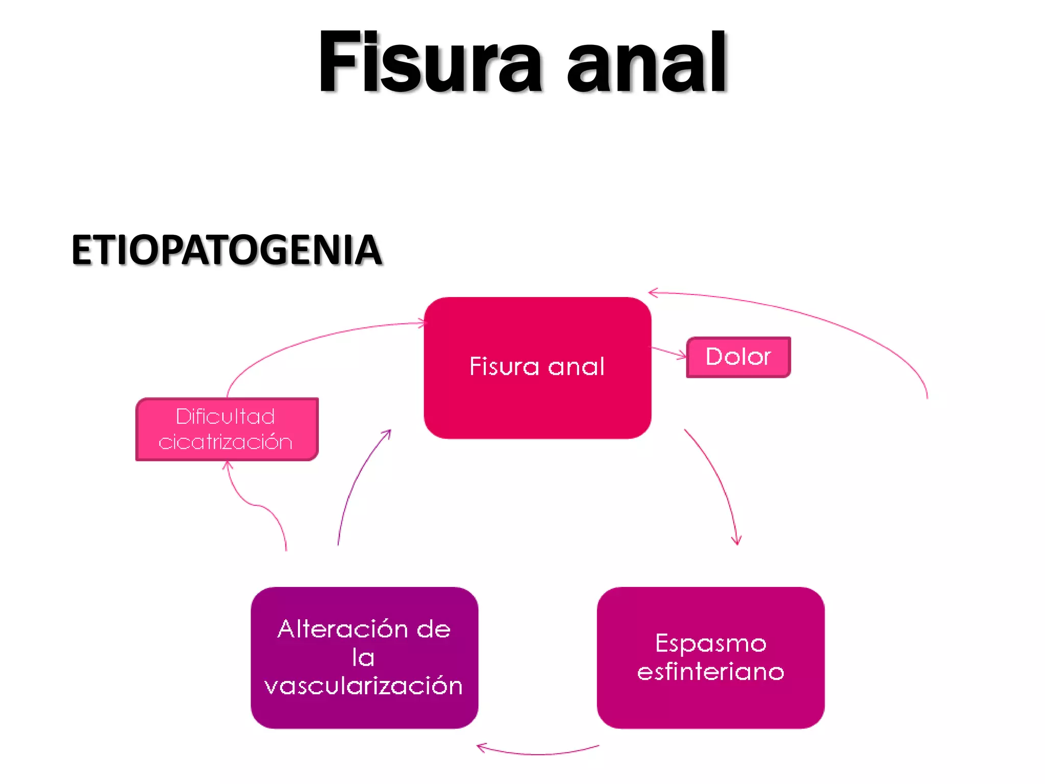 patologia Ano Rectal.pptx | PPT