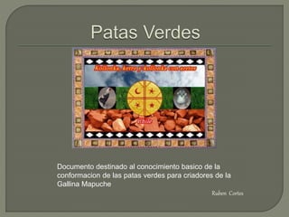 Patas verdes | PPTX