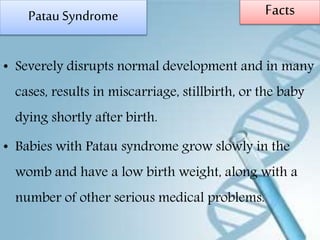 Patau Syndrome | PPTX