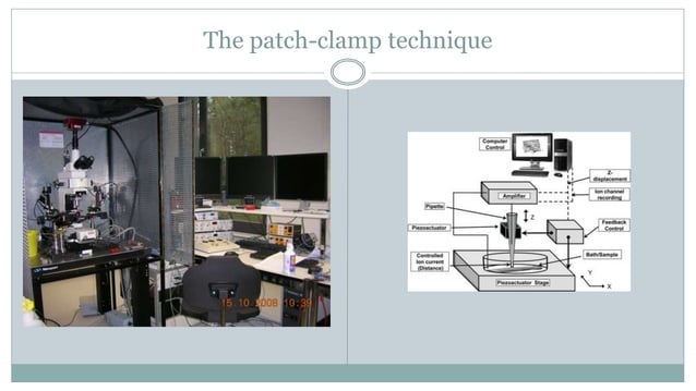 Patch clamptechnique | PPTX