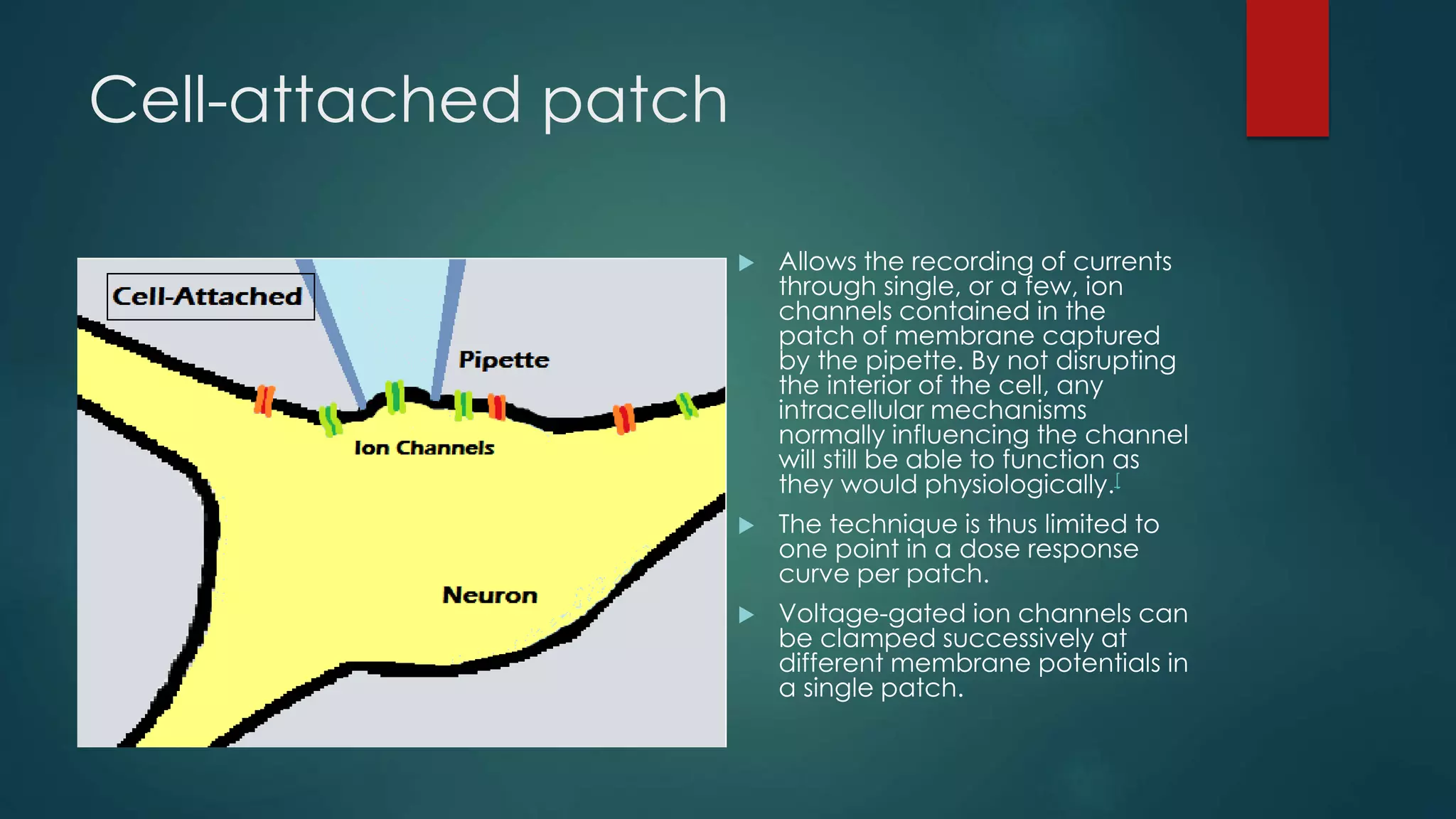 Patch clamp technique | PPTX