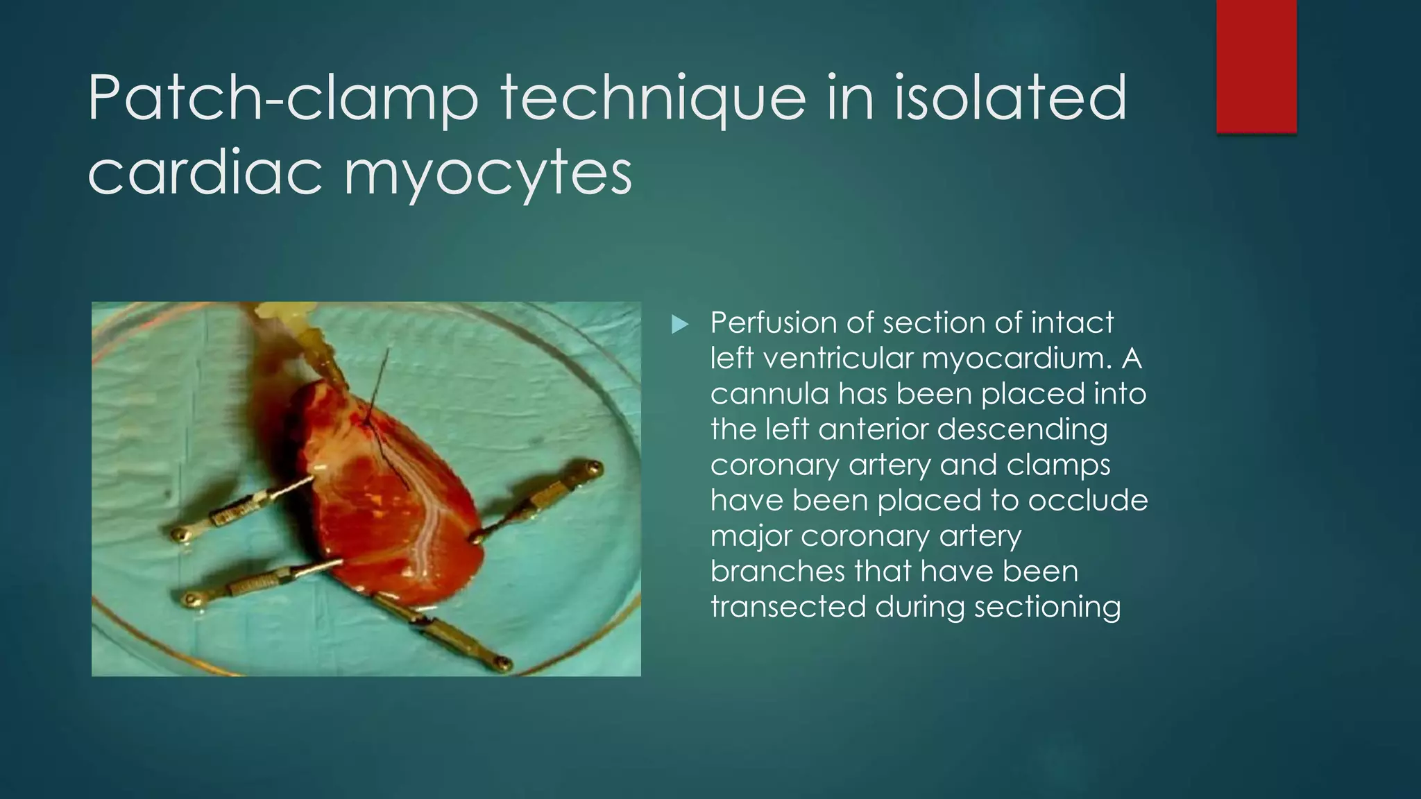 Patch clamp technique | PPTX