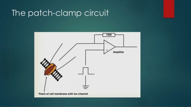 Patch clamp technique