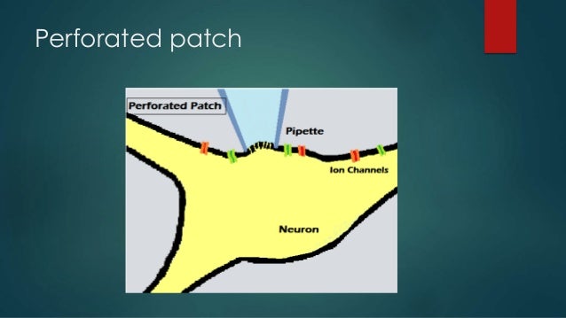 Patch clamp technique