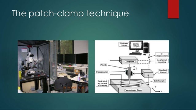 Patch clamp technique