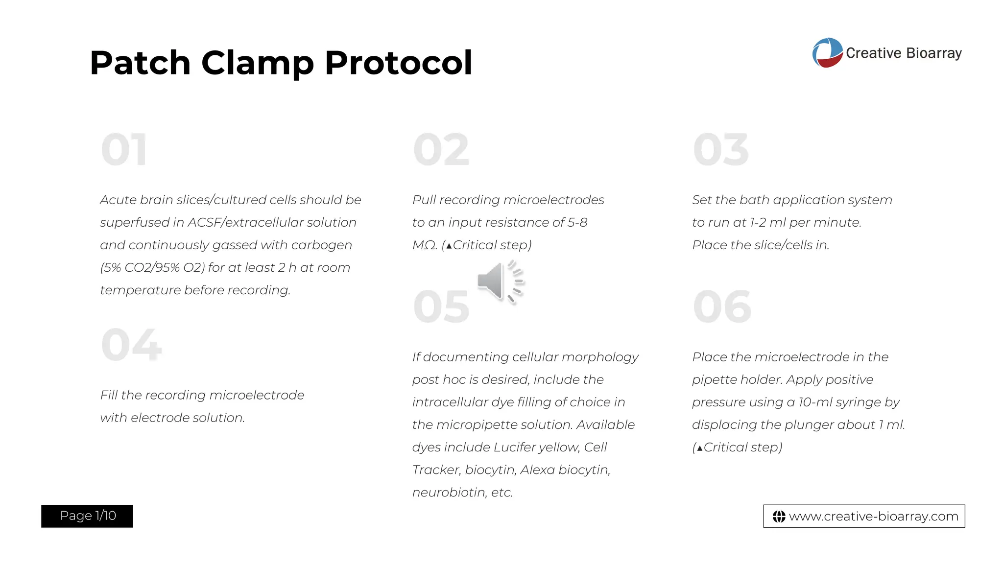 Patch Clamp Assay - A detailed step-by-step description of the standard ...