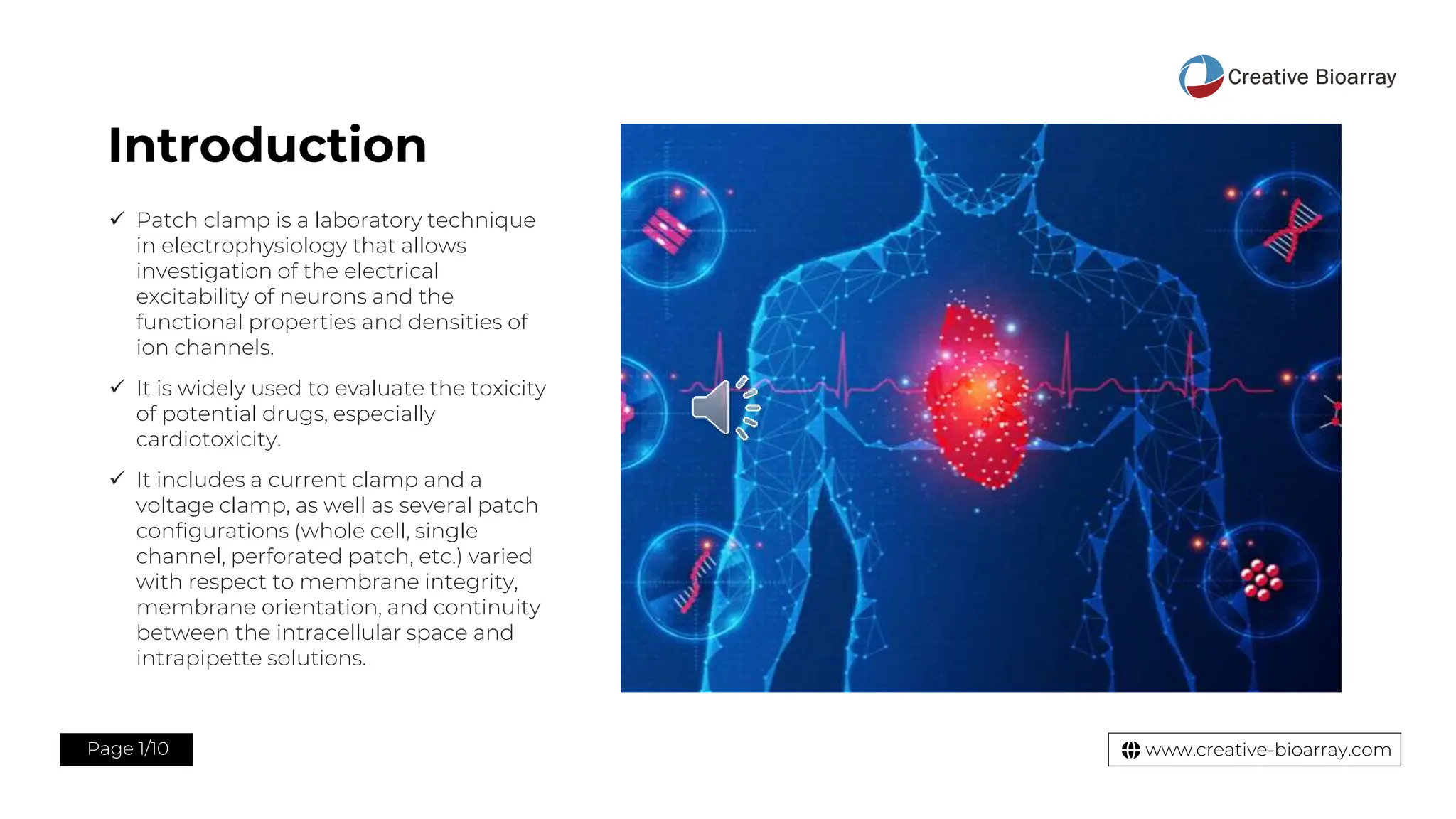 Patch Clamp Assay - A detailed step-by-step description of the standard patch clamp protocol | PPTX