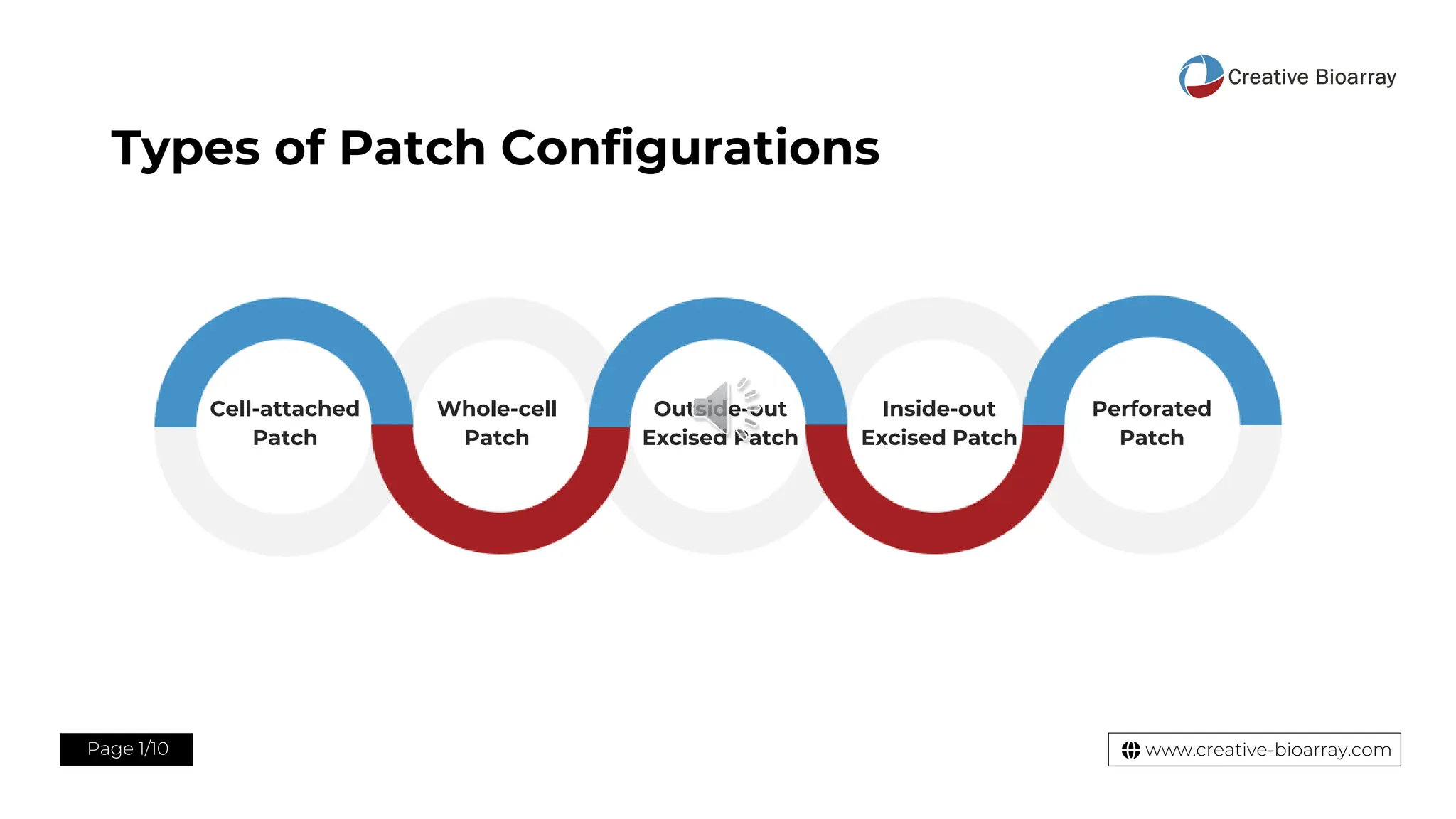 Patch Clamp Assay - A detailed step-by-step description of the standard ...