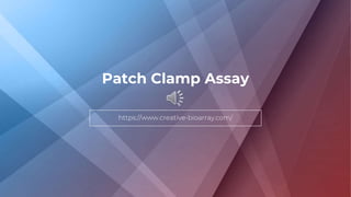 Patch Clamp Assay - A detailed step-by-step description of the standard patch clamp protocol | PPTX