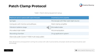 Patch Clamp Assay - A detailed step-by-step description of the standard patch clamp protocol | PPTX