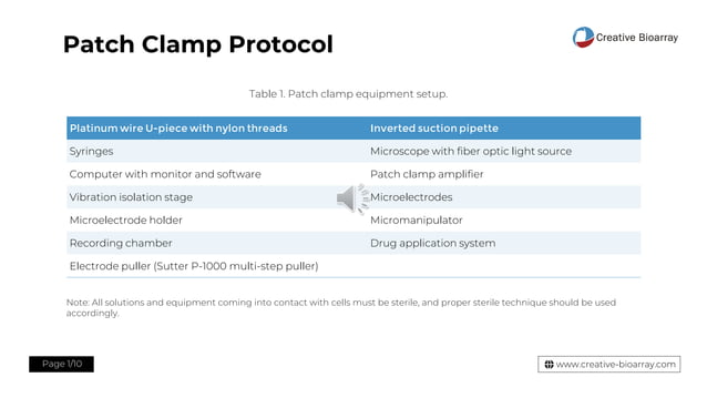 Patch Clamp Assay - A detailed step-by-step description of the standard ...